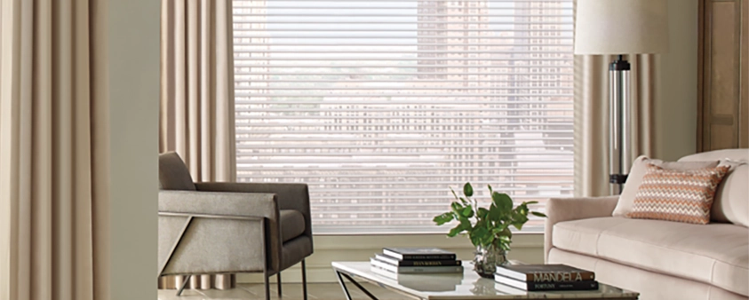 El complemento perfecto